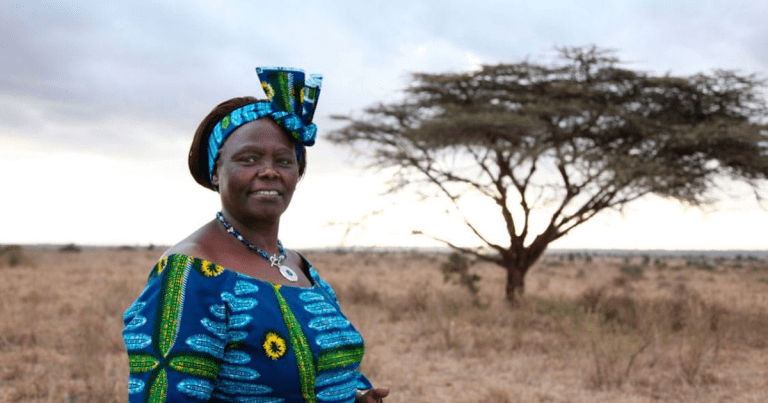 Wangari Maathai: la mujer Árbol - Blog